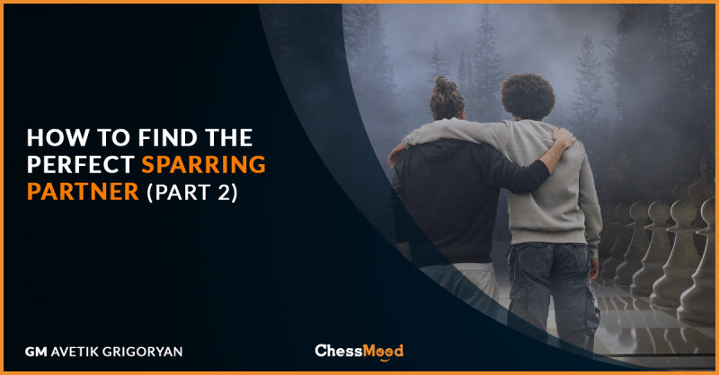 How You Can Find the Perfect Training/Sparring Partner (Part 2)