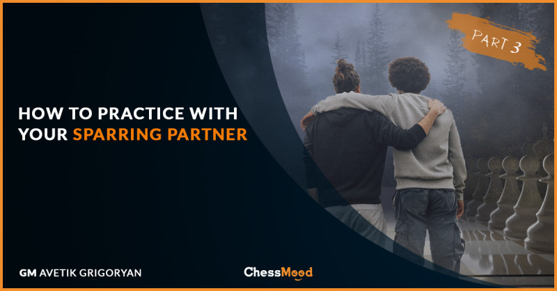 How to Practice with Your Training/Sparring Partner (Part 3)