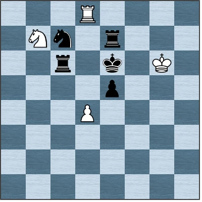 Chess puzzle store